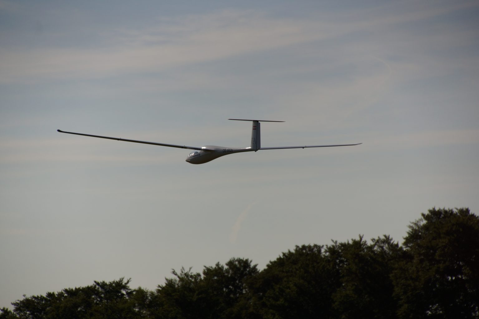 ASH 26 Champ - Tangent-Modelltechnik